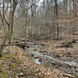 Millennium Trail, Kentucky - 449 Reviews, Map | AllTrails