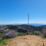 Trippet Ranch to Eagle Springs Loop Trail, California - 826 Reviews ...