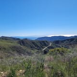 Trippet Ranch to Eagle Springs Loop Trail, California - 840 Reviews ...
