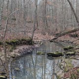 Red Cedar Trail, Illinois - 485 Reviews, Map | AllTrails
