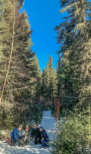 Best Hikes and Trails in Carson-Pegasus Provincial Park | AllTrails