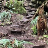 Raptor Ridge Loop, Washington - 315 Reviews, Map | AllTrails