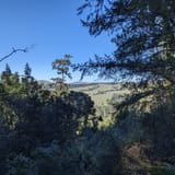 Olema Valley Trail, California - 337 Reviews, Map | AllTrails