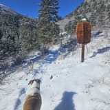 Ben Tyler Trail, Colorado - 682 Reviews, Map | AllTrails