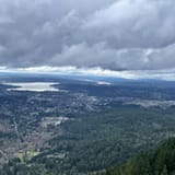 Poo Poo Point Trail, Washington - 6,006 Reviews, Map | AllTrails