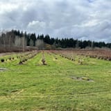 Mercer Slough Nature Park, Washington - 1,018 Reviews, Map | AllTrails