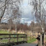 Mercer Slough Nature Park, Washington - 1,018 Reviews, Map | AllTrails