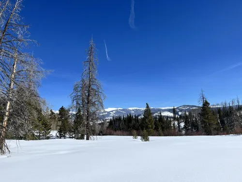 Best Mountain Biking Trails in Silverthorne | AllTrails