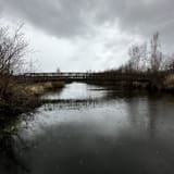 Mercer Slough Nature Park, Washington - 1,018 Reviews, Map | AllTrails