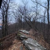 Peters Mountain Ridge via Appalachian Trail, Pennsylvania - 1,507 ...