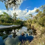 Econlockhatchee River Trail, Florida - 449 Reviews, Map | AllTrails