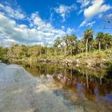 Econlockhatchee River Trail, Florida - 449 Reviews, Map | AllTrails