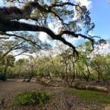 Econlockhatchee River Trail, Florida - 449 Reviews, Map | AllTrails