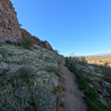 Calderwood Butte Trail, Arizona - 1,807 Reviews, Map | AllTrails