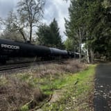 Chehalis Western Trail, Washington - 546 Reviews, Map | AllTrails