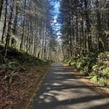 Chehalis Western Trail, Washington - 546 Reviews, Map | AllTrails