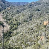 Murphy Ranch Trail, California - 3,625 Reviews, Map | AllTrails
