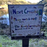 Lake Lagunitas, California - 570 Reviews, Map | AllTrails