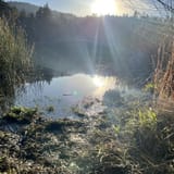 Lake Lagunitas, California - 645 Reviews, Map | AllTrails