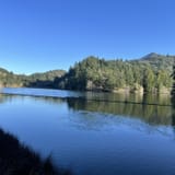 Lake Lagunitas, California - 586 Reviews, Map | AllTrails