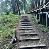 Lake Lagunitas, California - 586 Reviews, Map | AllTrails