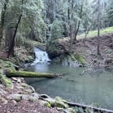 Lake Lagunitas, California - 645 Reviews, Map | AllTrails