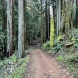 Lake Lagunitas, California - 645 Reviews, Map | AllTrails
