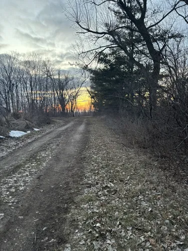 Best Hikes and Trails in Wickiup Hill County Park | AllTrails