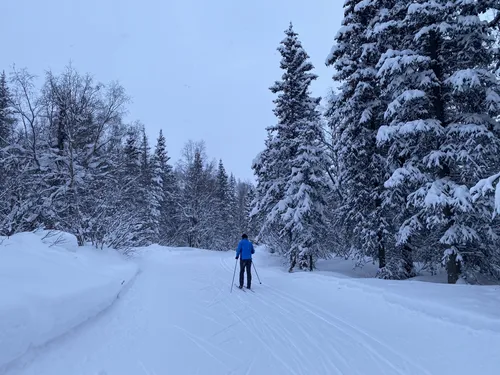 Best Moderate Trails in Far North Bicentennial Park | AllTrails