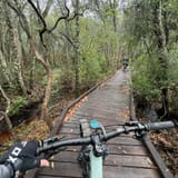 Eastern Lake Trail: Yellow and Red Trails Loop, Florida - 223 Reviews ...