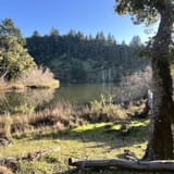 Lake Lagunitas, California - 645 Reviews, Map | AllTrails