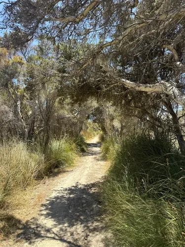 Best Hikes and Trails in Len Howard Conservation Park | AllTrails