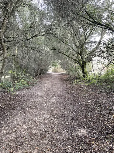 Best Hikes and Trails in Ragle Ranch Regional Park | AllTrails