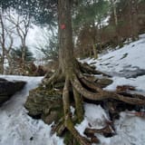 Devil's Path to the Jimmy Dolan Notch Overlook and Twin Mountain Summit ...