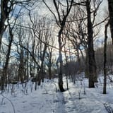 Devil's Path to the Jimmy Dolan Notch Overlook and Twin Mountain Summit ...