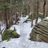 Devil's Path to the Jimmy Dolan Notch Overlook and Twin Mountain Summit ...