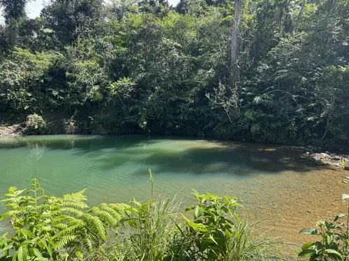 Best Hikes and Trails in Patillas | AllTrails