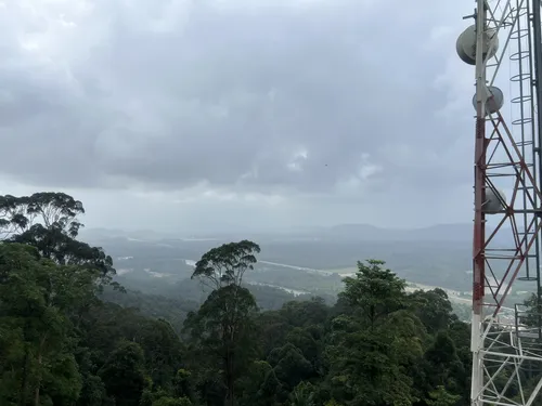 Hutan Simpanan Bukit Bauk: de beste routes om te wandelen | AllTrails