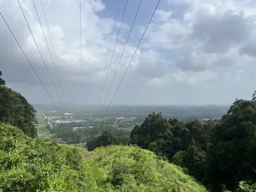 Best Hikes and Trails in Hutan Simpanan Bukit Bauk | AllTrails