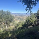 Newhall Pass: Weldon Canyon Trail, California - 231 Reviews, Map ...