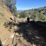 Newhall Pass: Weldon Canyon Trail, California - 231 Reviews, Map ...