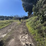 Newhall Pass: Weldon Canyon Trail, California - 231 Reviews, Map ...