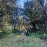 Newhall Pass: Weldon Canyon Trail, California - 236 Reviews, Map ...