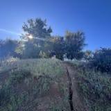 Newhall Pass: Weldon Canyon Trail, California - 236 Reviews, Map ...