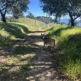 Newhall Pass: Weldon Canyon Trail, California - 236 Reviews, Map ...