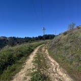 Newhall Pass: Weldon Canyon Trail, California - 236 Reviews, Map ...