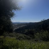 Newhall Pass: Weldon Canyon Trail, California - 215 Reviews, Map ...