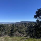 Newhall Pass: Weldon Canyon Trail, California - 236 Reviews, Map ...