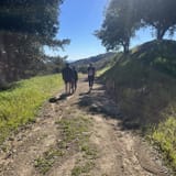 Newhall Pass: Weldon Canyon Trail, California - 236 Reviews, Map ...