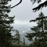 Rampart Ridge Loop, Washington - 2,104 Reviews, Map | AllTrails